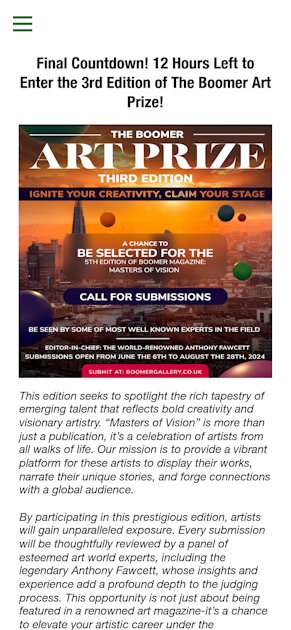 The Boomer Art Prize - Boomer Gallery